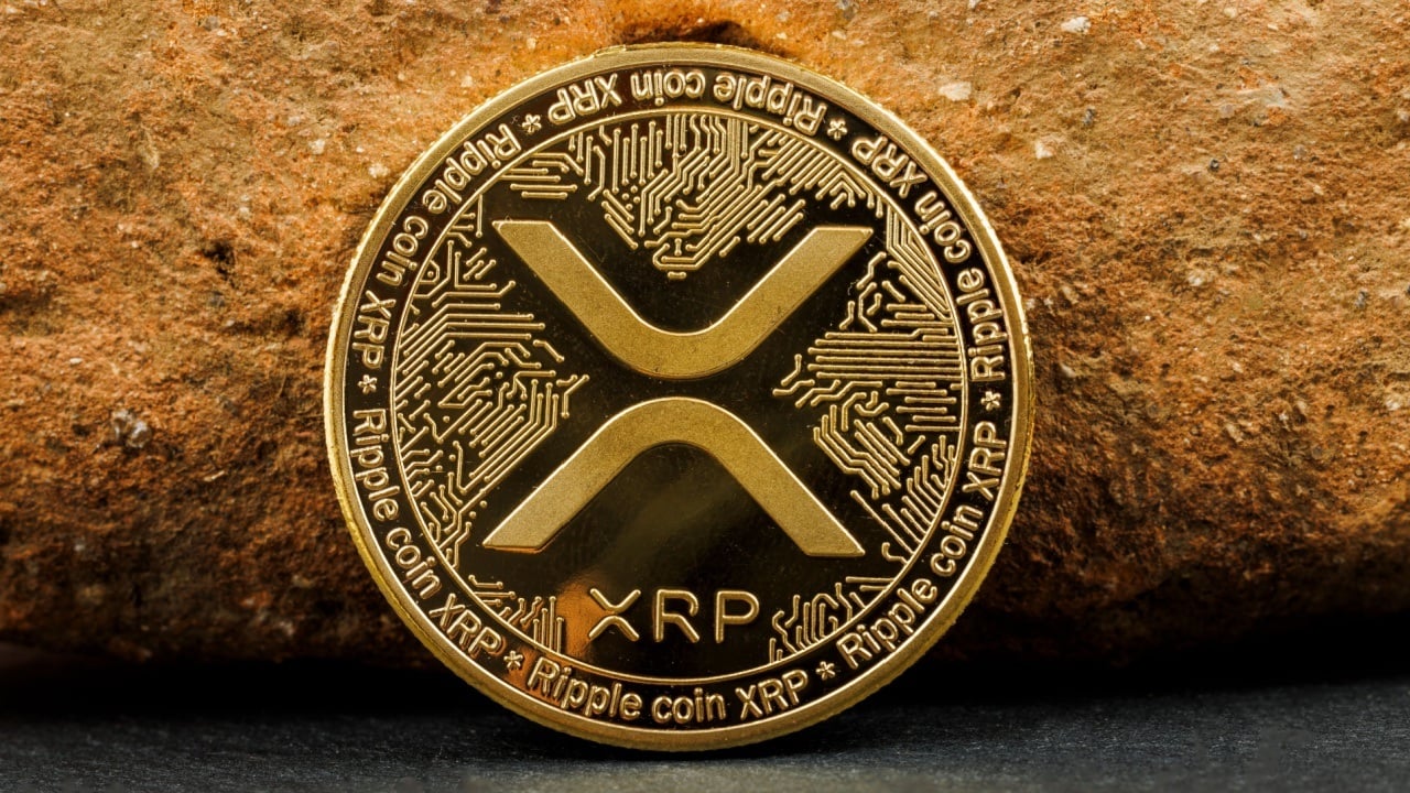 Аналітик Van Code: XRP зросте до $1000 - NoWorries