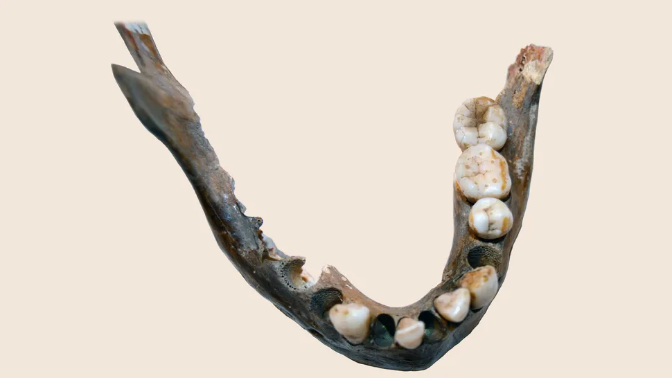 Науковці відкрили новий вид Homo sapiens, який перебував в ізоляції 100 ...